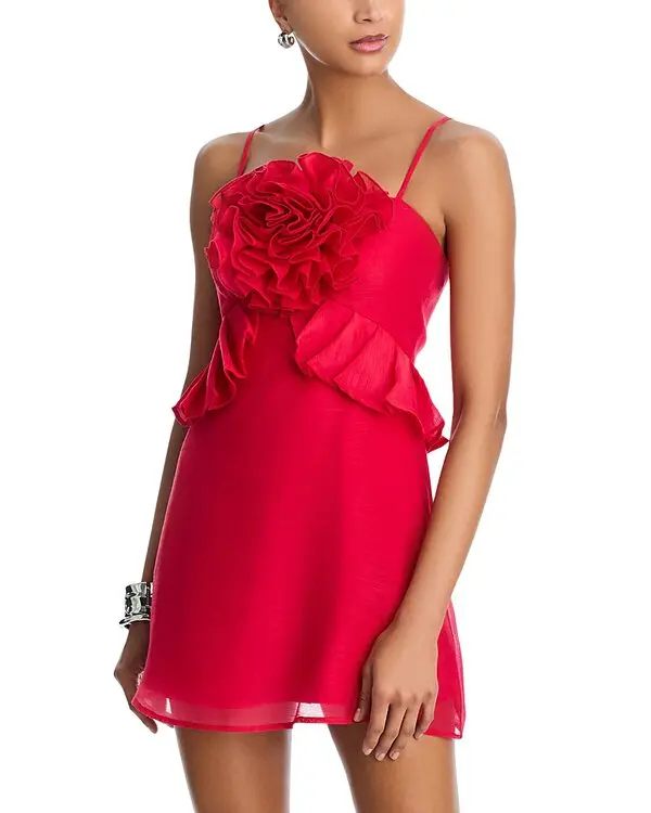 Aqua Rosette Mini Dress - Red