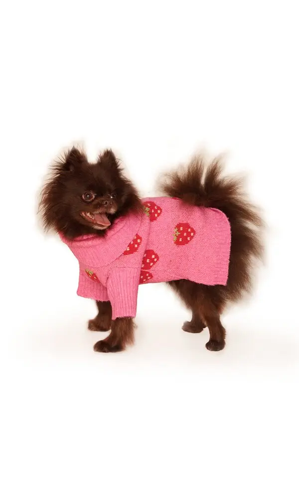 LITTLE BEAST Strawberry Dog Sweater - Print