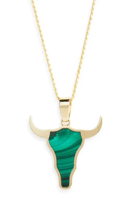 Established Mini Steer Inlay Pendant Necklace - Malachite