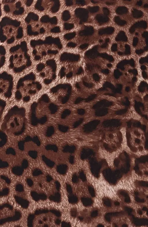 Naked Wardrobe Leopard Print Long Sleeve Maxi Dress