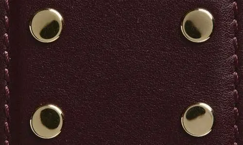 Khaite Studded Italian Leather Belt - Bordeaux