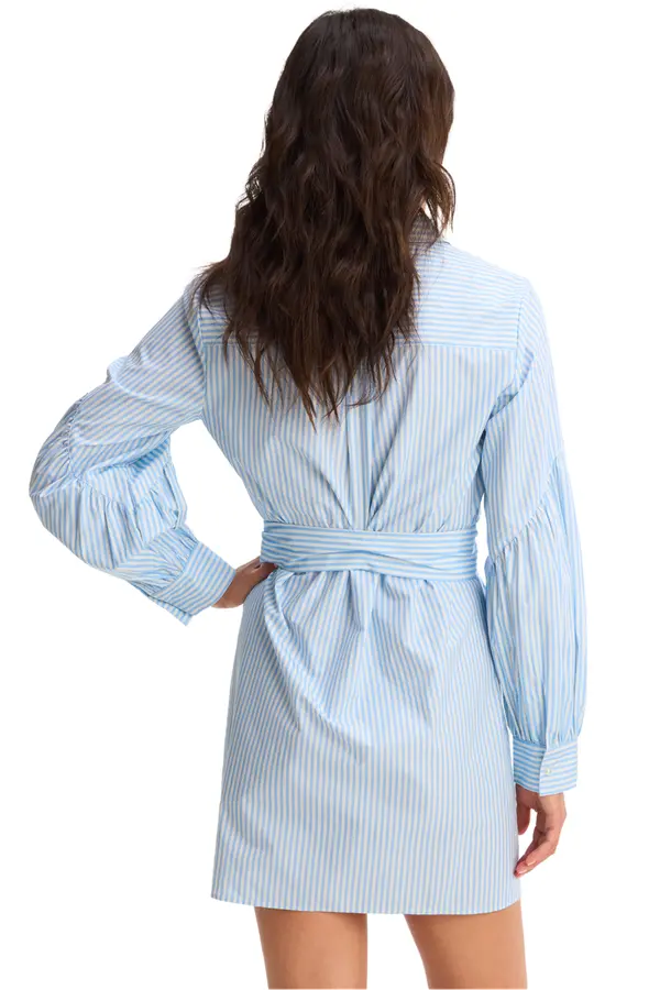 Allison Paisley Shirt Dress