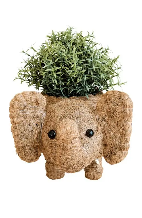 LIKHA Safari Animal Coco Coir Planters - Brown