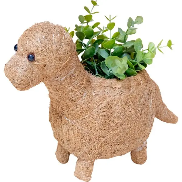 LIKHA Dinosaur Coco Coir Planters - Brown Baby Bronto