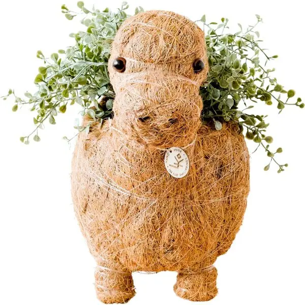 LIKHA Dinosaur Coco Coir Planters - Brown Brontosaurus