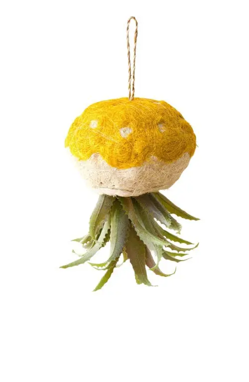 LIKHA Coco Coir Hanging Planter For Air Plants - Yellow
