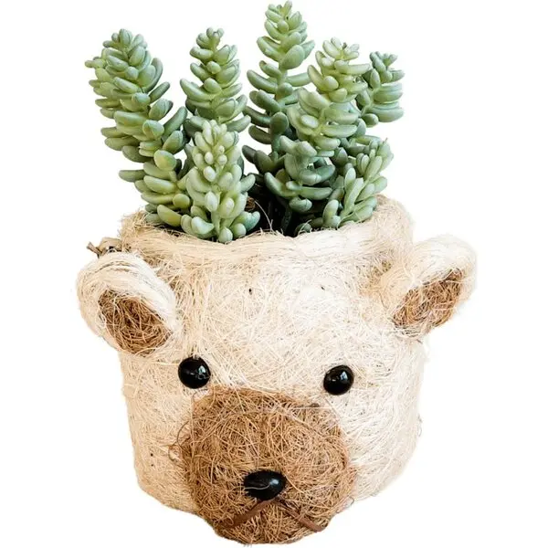 LIKHA Animal Head Coco Coir Planters - Natural