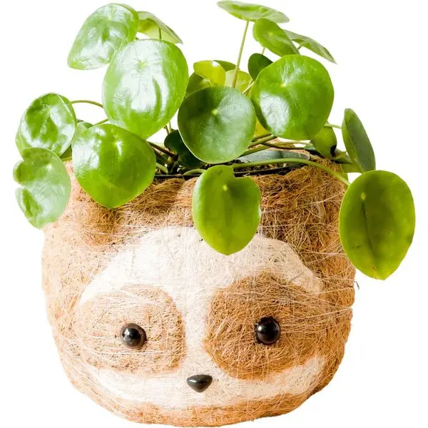 LIKHA Animal Head Coco Coir Planters - Two-tone