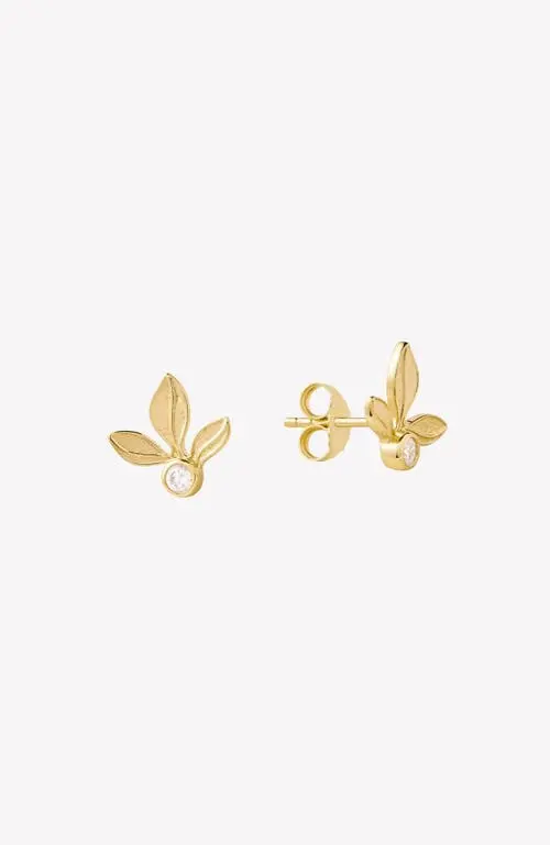 RIZEN JEWELRY Olive Leaf Stud Earring - 18k Gold Plated