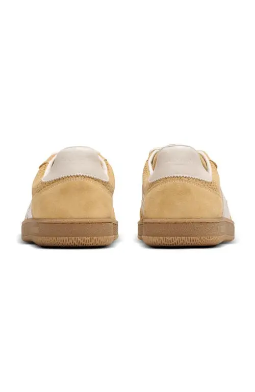 Balmain Swan Suede Trainers - Beige