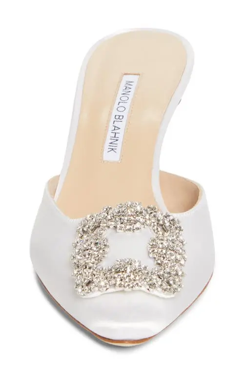 Manolo Blahnik Hangisimu Mule Pumps