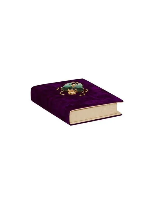 LARALLAN Tofe Velvet Book Clutch