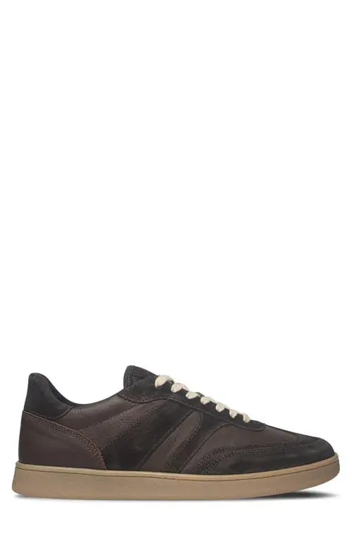 COLLEGIUM Court Iii Sneaker - Espresso Leather