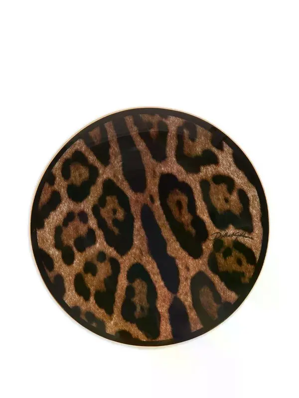 Dolce & Gabbana Decorated Leopard-print Box