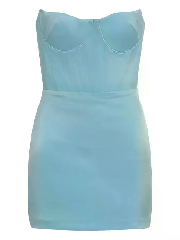 Alex Perry Corset Strapless Mini Dress