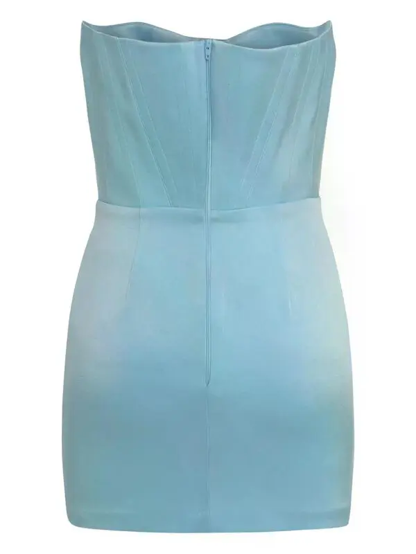 Alex Perry Corset Strapless Mini Dress