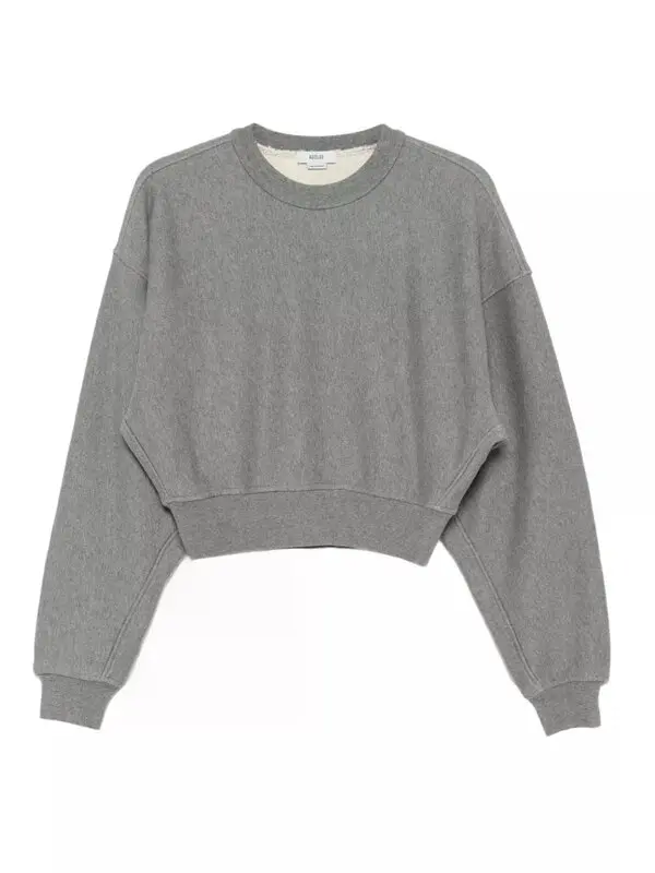AGOLDE Cropped Sweatshirt - Grey