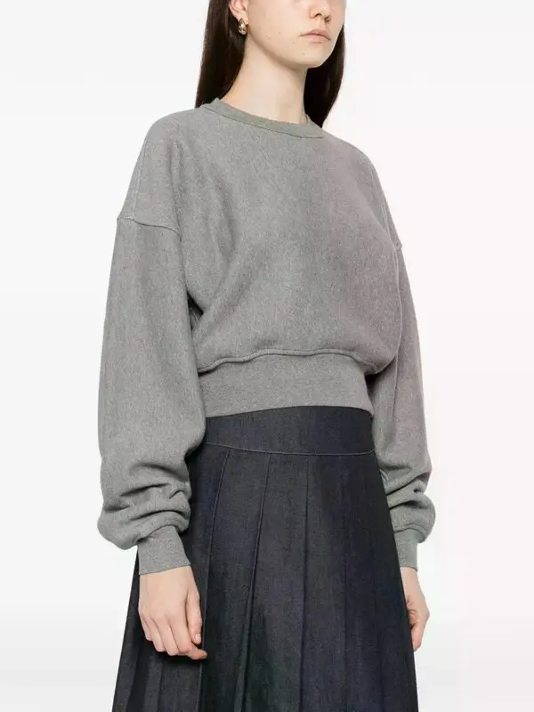 AGOLDE Cropped Sweatshirt - Grey