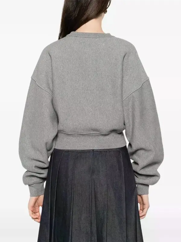 AGOLDE Cropped Sweatshirt - Grey