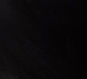 Khaite Bella Knee-high Leather Boots - Black