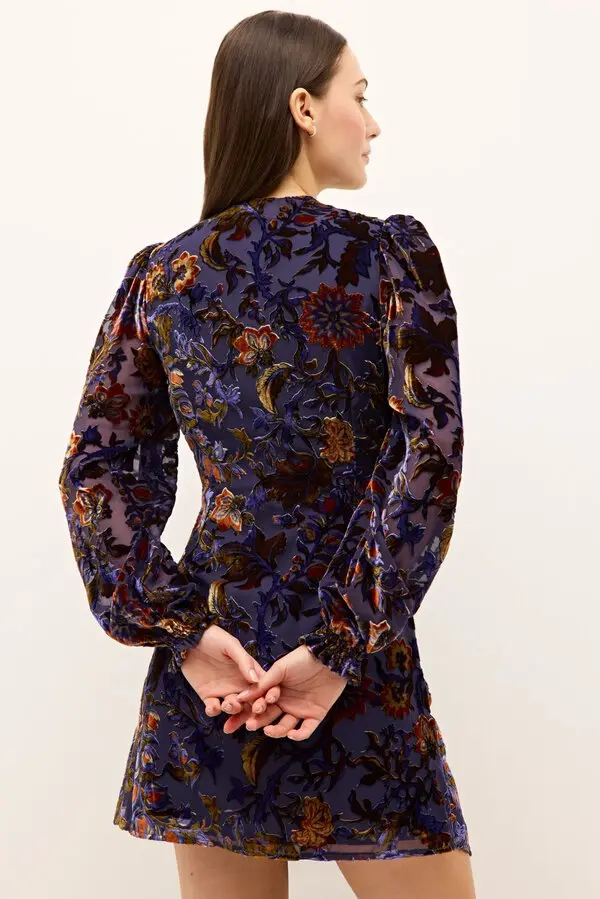 MARIE OLIVER Eliza Burnout Paisley Velvet Dress