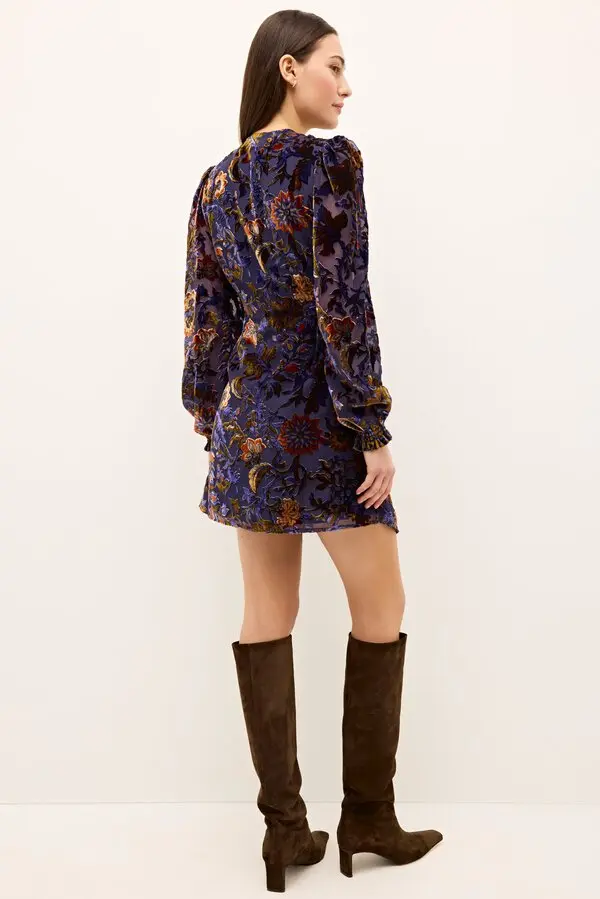 MARIE OLIVER Eliza Burnout Paisley Velvet Dress