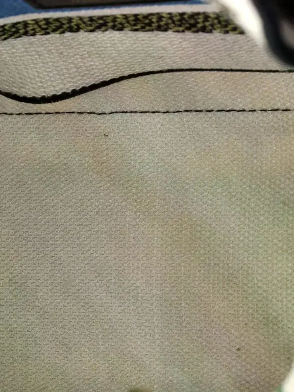 Dior Lady D-lite Embroidered Canvas Medium Satchel - Blue