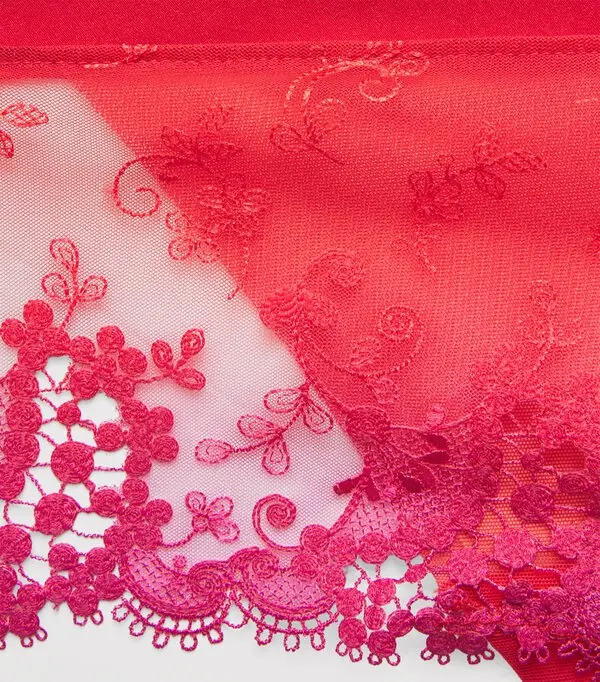 Simone Perele Lace Wish Briefs