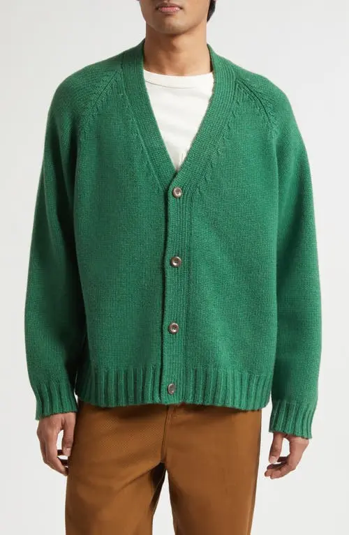 THE ELDER STATESMAN Oak Cashmere V-neck Cardigan