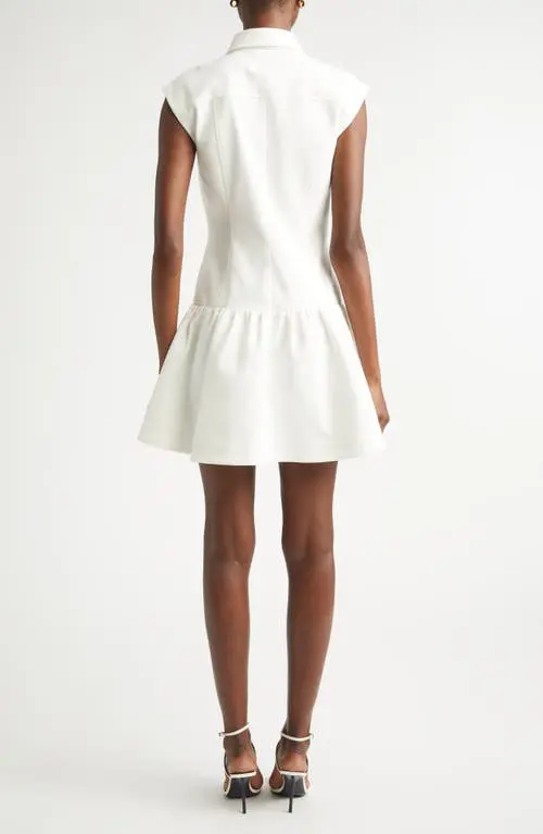 Ramy Brook Sofi Cap-sleeve Mini Dress - Ivory