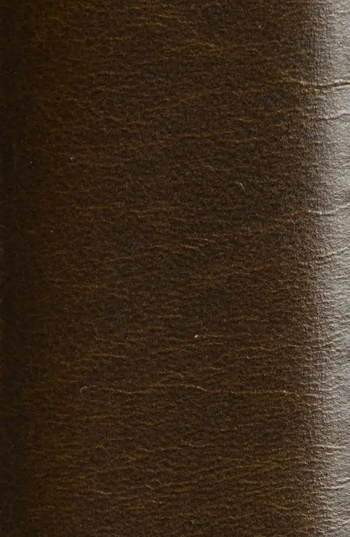 Torino Stitched Calfskin Leather Belt - Olive