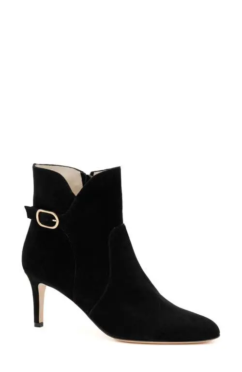 AMALFI BY RANGONI Lucario Bootie - Black Cashmere Gold Buckle