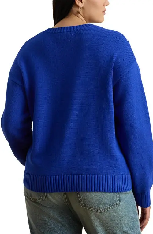 Ralph Lauren Riednee Colorblocked Sweater