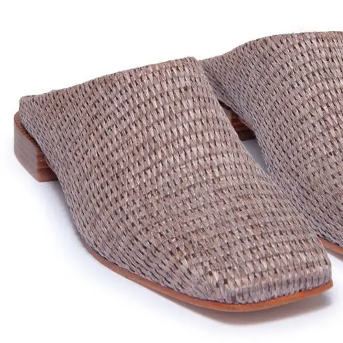 Bernardo Porto Mule