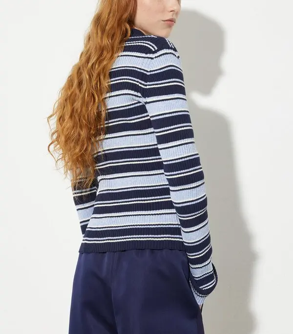 Max & Co. Rib-knit Stripe Polo Sweater - Blue