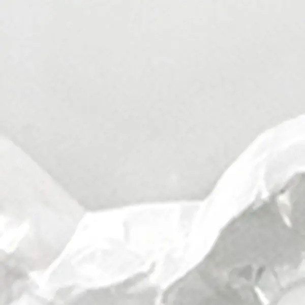 Lalique Crystal Caldera Bowl