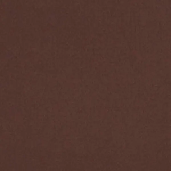 SKIMS Fits Everybody Thong - Brown