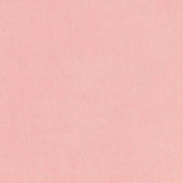 Eleventy Cashmere Scarf - Nude