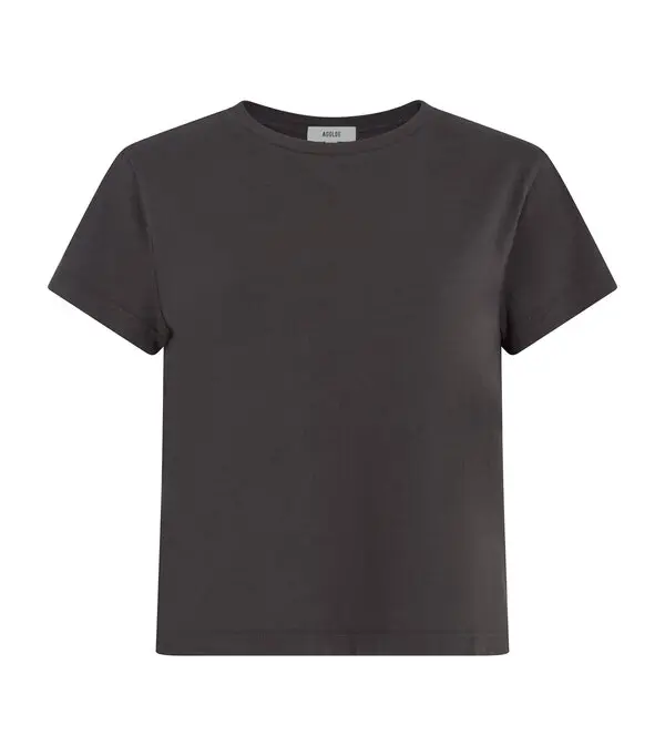 AGOLDE Organic Cotton Adine Shrunken T-shirt - Grey