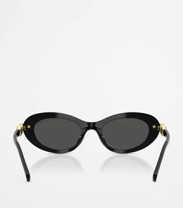 SWAROVSKI Acetate Oval Sunglasses