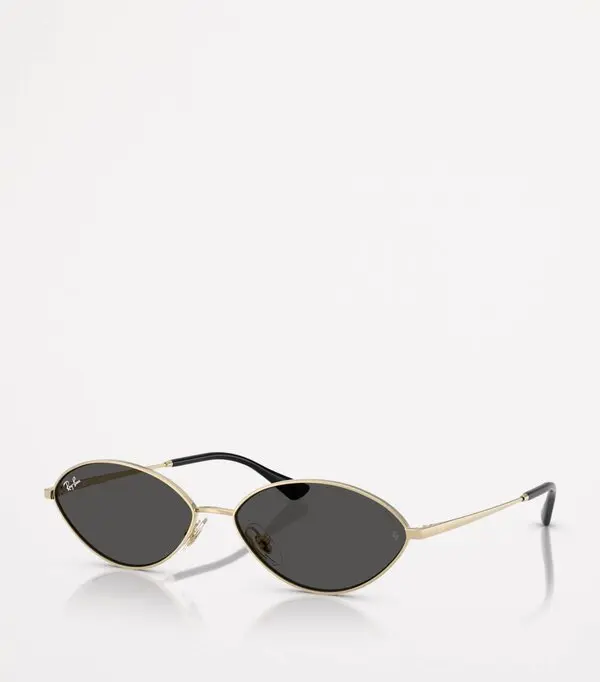 Ray-ban Bio-based Oval Sunglasses