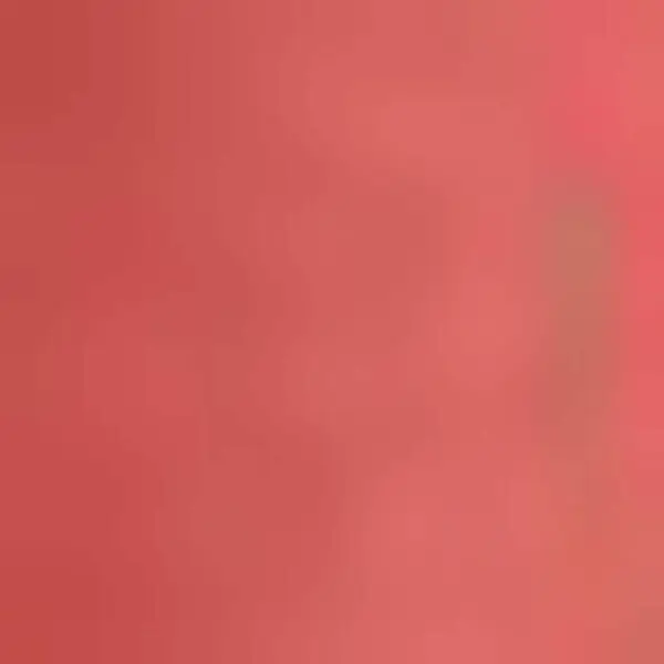 Dior Rouge Contour Lip Liner Pencil - Red