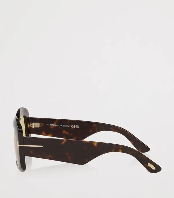 TOM FORD Acetate Venetia Sunglasses