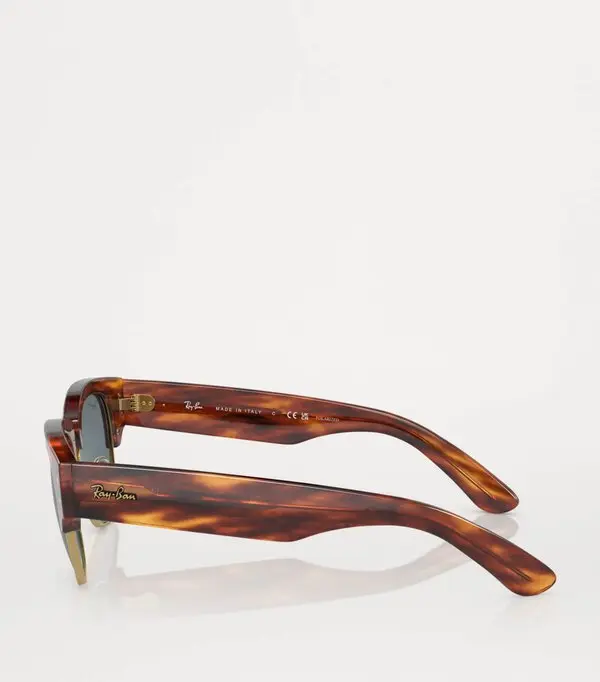 Ray-ban Propionate Sunglasses - Brown