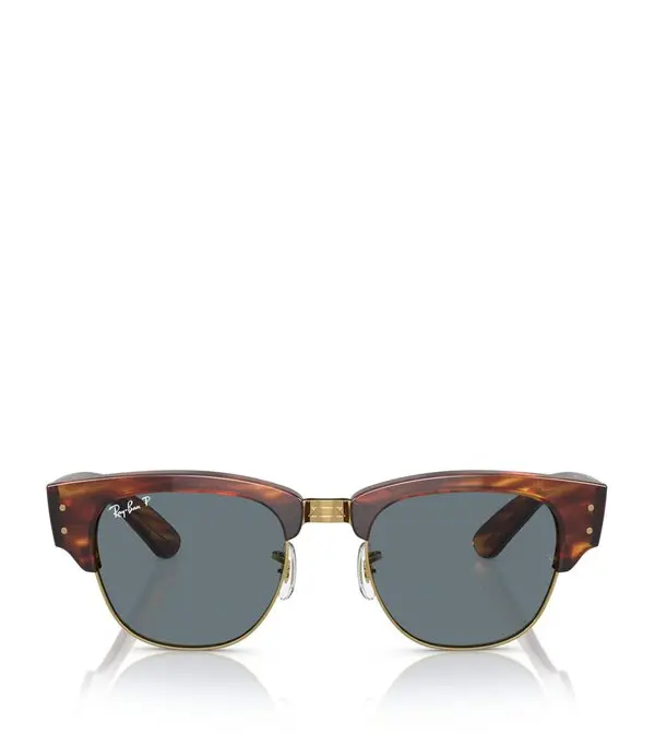 Ray-ban Propionate Sunglasses - Brown
