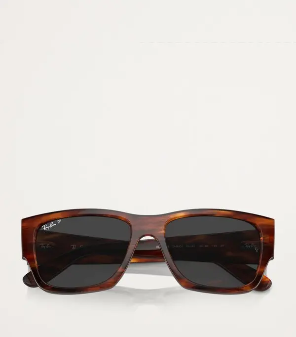 Ray-ban Rb0947s Carlos Sunglasses - Brown