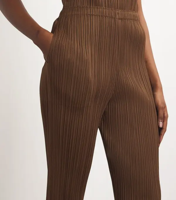 Issey Miyake Colorful Basics Trousers - Brown