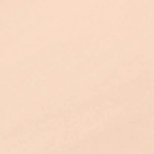 CHANTECAILLE Future Skin Cushion Skincare Foundation - Ivory