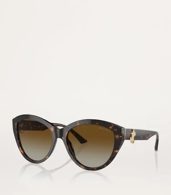 JIMMY CHOO Acetate Jc5007 Sunglasses - Brown