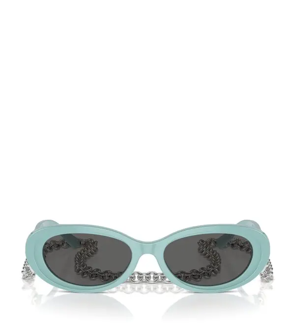 Tiffany & Co. Acetate Tf4221 Sunglasses - Blue